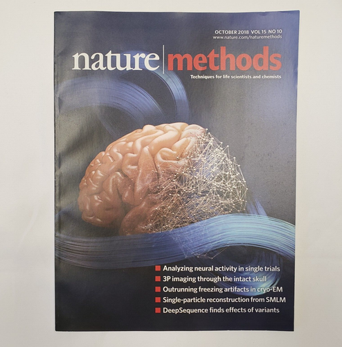 Nature Methods October 2018 Vol. 15 Issue No 10 - EXCELLENT CONDITION ...