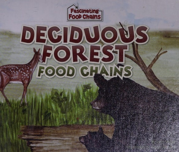 Deciduous Forest Food Chains (Fascinating Food Chains) by Vogel, Julia ...