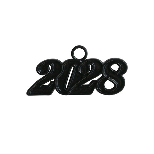 Endea Graduation Black Tassel Date Charm Year 2028 | eBay