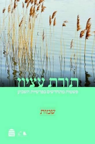 Torat Etzion: Shemot, New Readings in Parashat Hashavua (Hebrew Edition ...