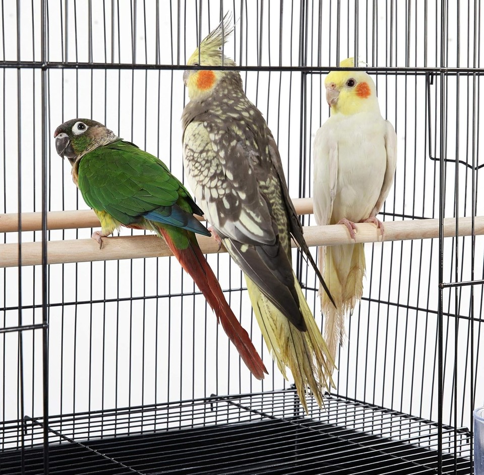 Large Bird Cage Wide Flight Cage Pet Bird Breeding Cage for Small Birds ...