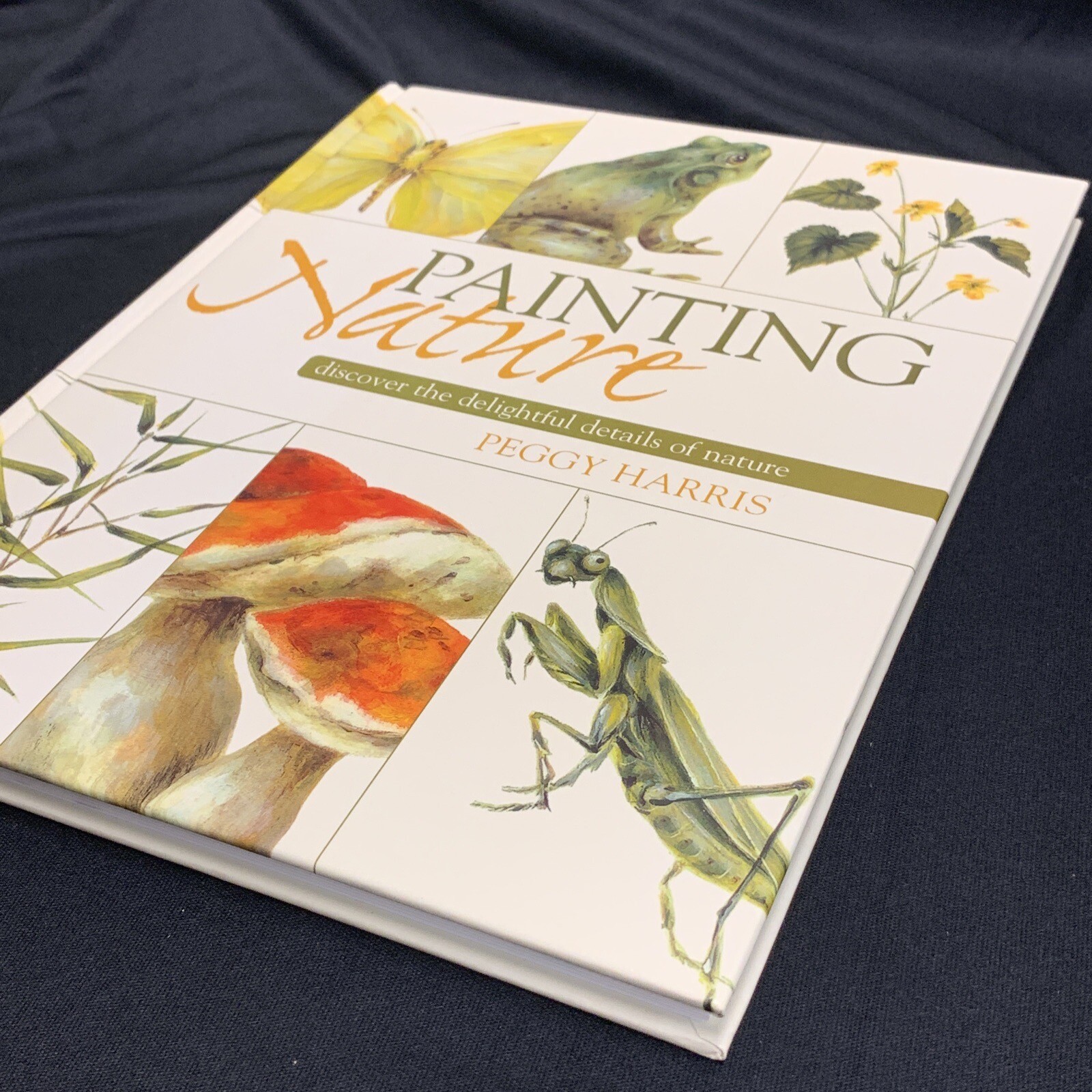 Painting Nature with Peggy Harris by Peggy Harris (2005, Hardcover) for ...