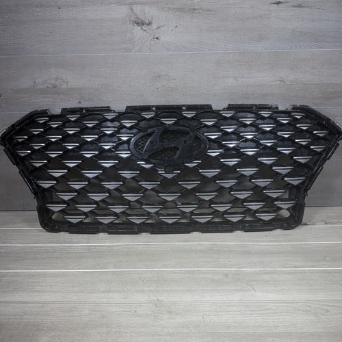 OEM 2021 2022 Hyundai Palisade Calligraphy Front Upper Grille Mesh ...