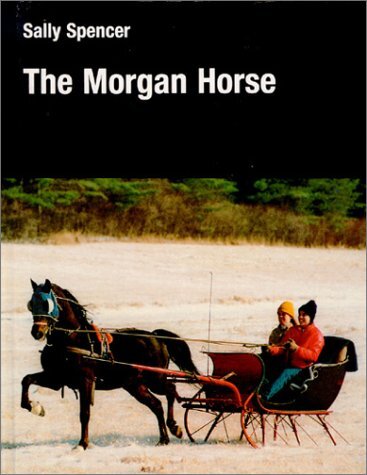 THE MORGAN HORSE (ALLEN BREED SERIES) By Sally Spencer - Hardcover ...