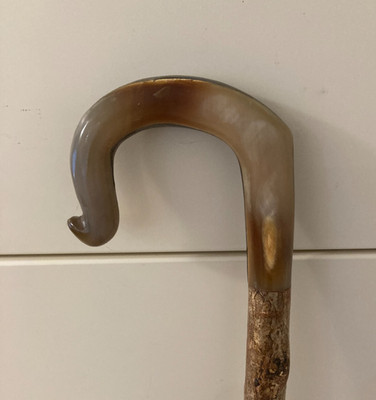 OX Horn crook handle Walking Stick on a hazel shank | eBay UK