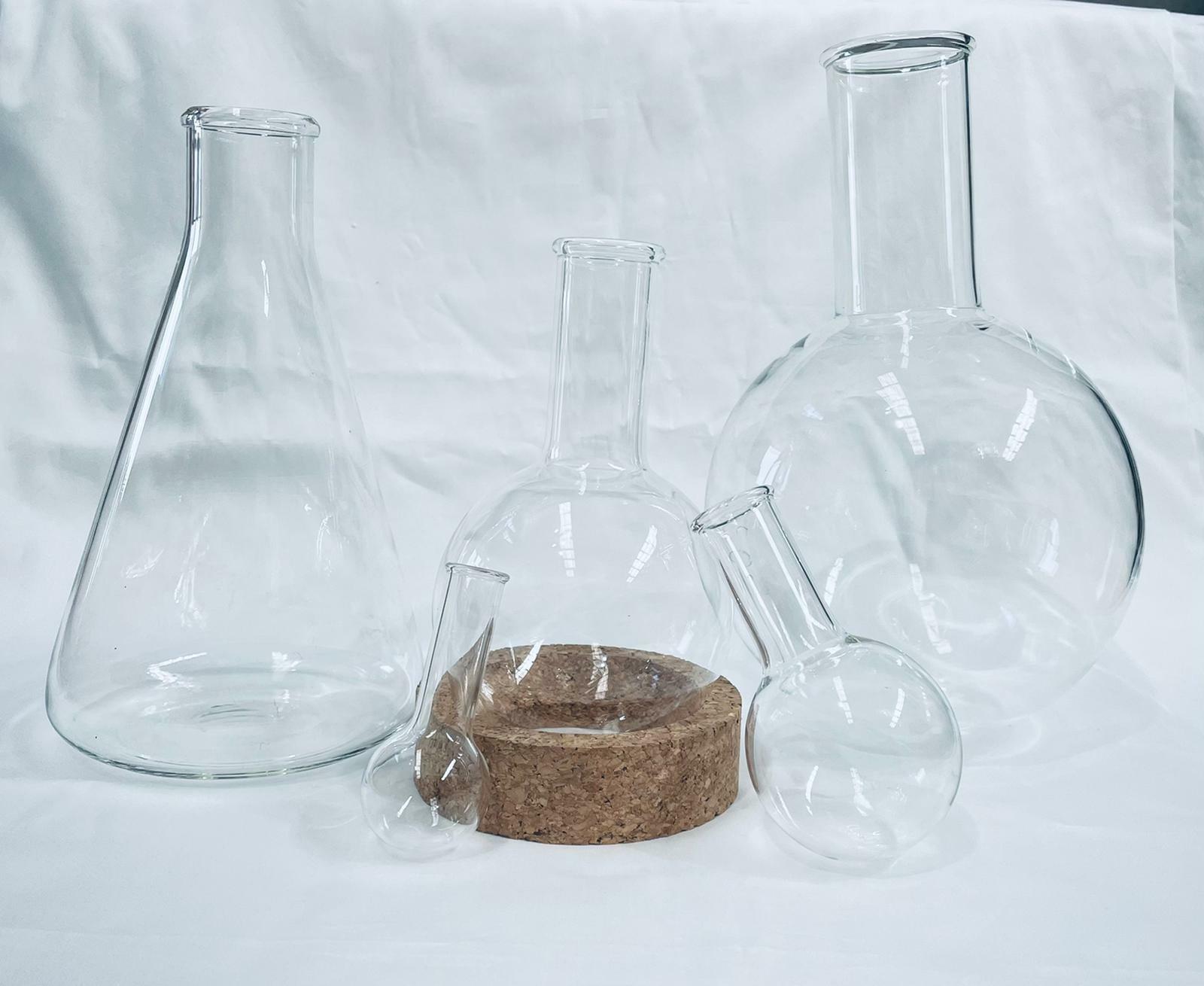 Propagation Plain Flasks Glass Home Decor - Plant Vase- Various Sizes ...
