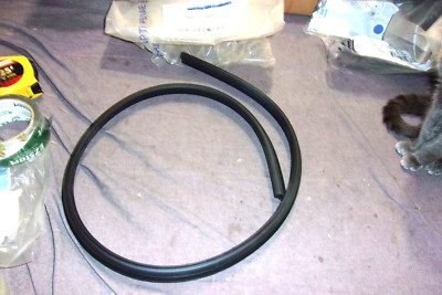 FORD. BM5Z-16738-B. 12,16 FOCUS. cowl grille seal. ORIG. FORD NOS | eBay