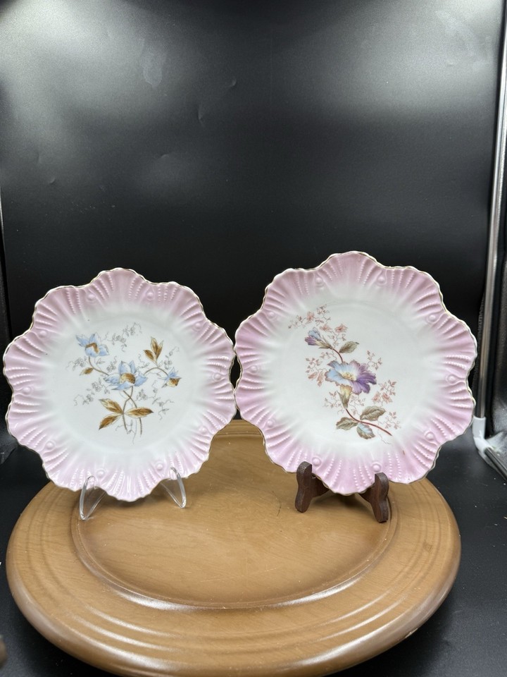 Antique Hand Painted Pink Scalloped Floral Plates Set Of 2 | eBay