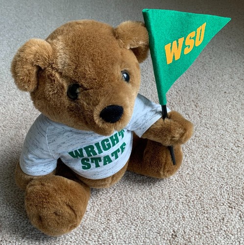 Wright State Raiders Plush Teddy Bear | eBay UK