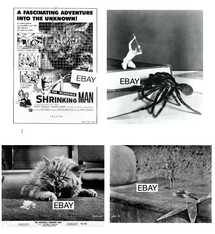 Incredible Shrinking Man
