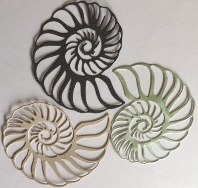 BIG SHELL Die-Cut(3pc)3"x 3" Ocean•Sea•Sand•Tropical •Vacation•Water ...