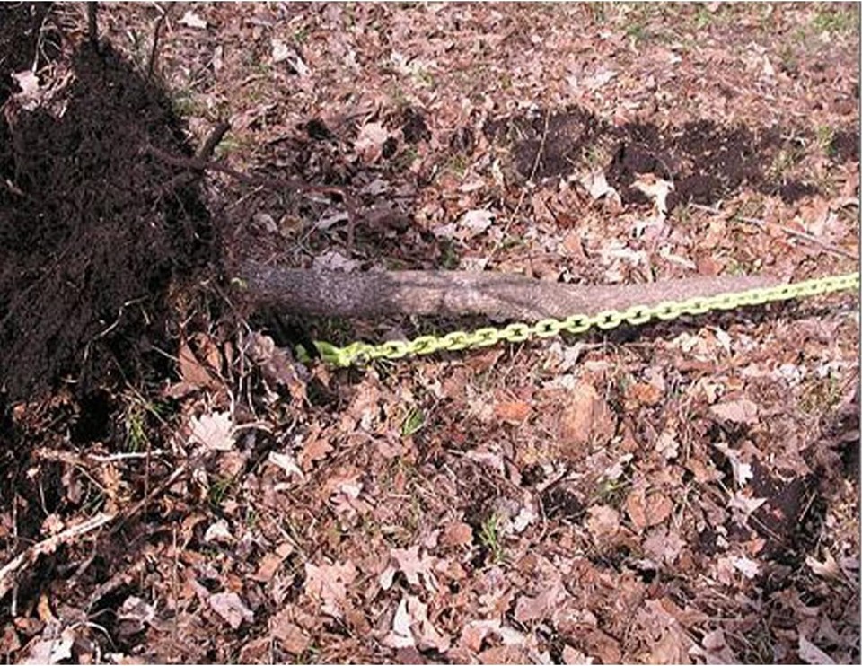 Brush Grubber Heavy Duty Steel 360 Degree Tree Stump Remover Black ...