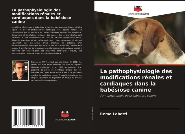 La Pathophysiologie des Modifications Rénales Et Cardiaques Dans la ...