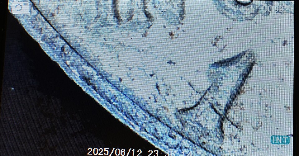 1984 P Kennedy Half Dollar Error Coin Fin Rim and Die Cracks, Break ...