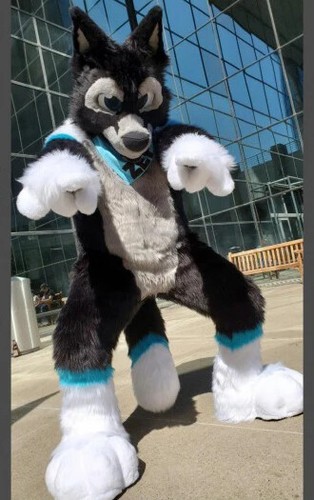 Furry Fursuit Wolf Husky Dog Mascot Costumes Halloween Birthday Party ...