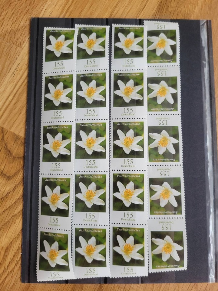 20 x 1,55 € Briefmarken 2019 Blumen Postfrisch | eBay.de