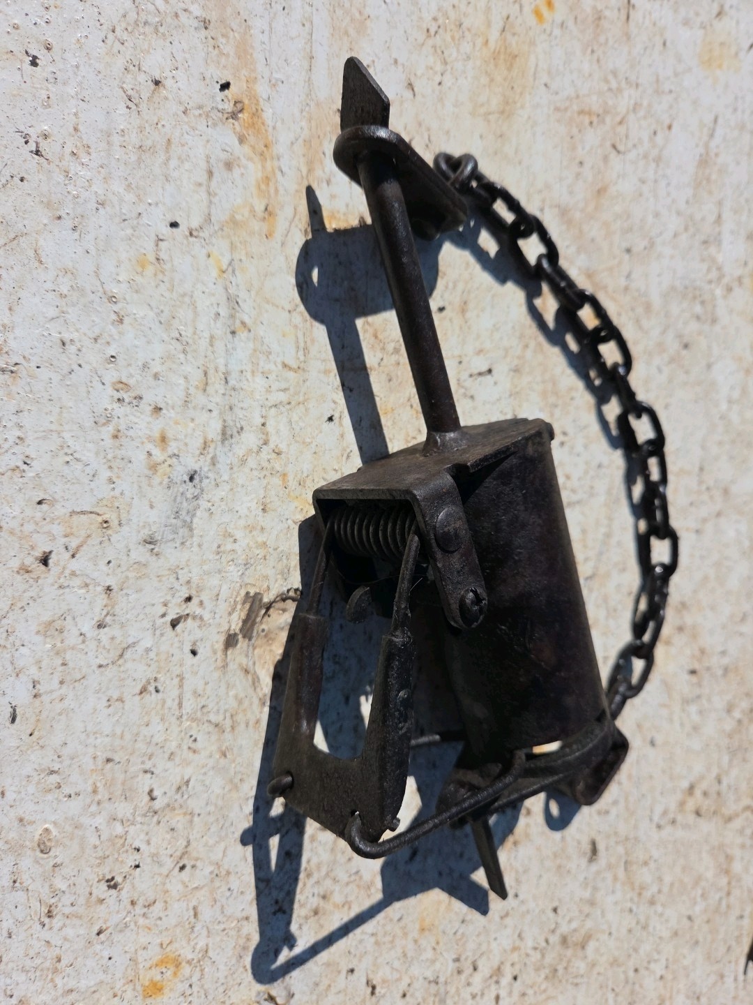 Lot of (10) used Duke Etc. DP Dog Proof Raccoon coon traps | eBay