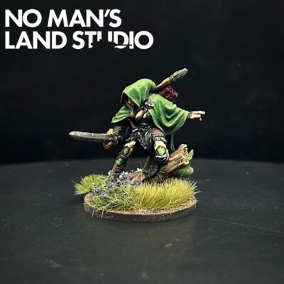 Painted D&D - Elf Niena - Reaper Miniature COMMISSION - Fantasy - LOTR ...