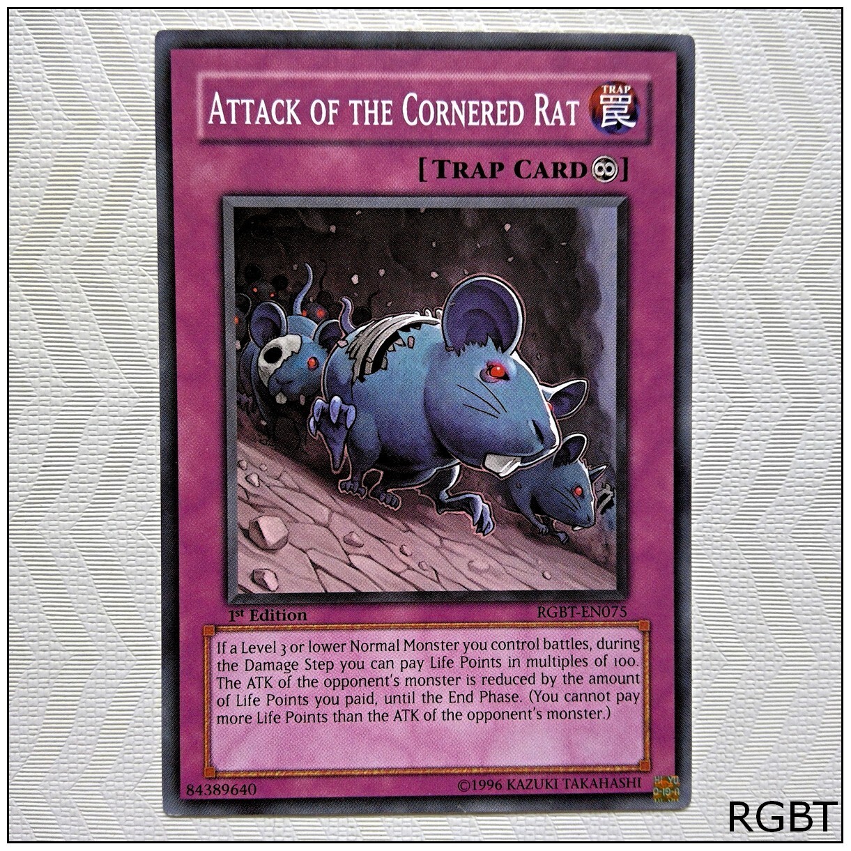 Attack of the Cornered Rat - RGBT-EN075 - Common 1st Edition Yugioh | eBay