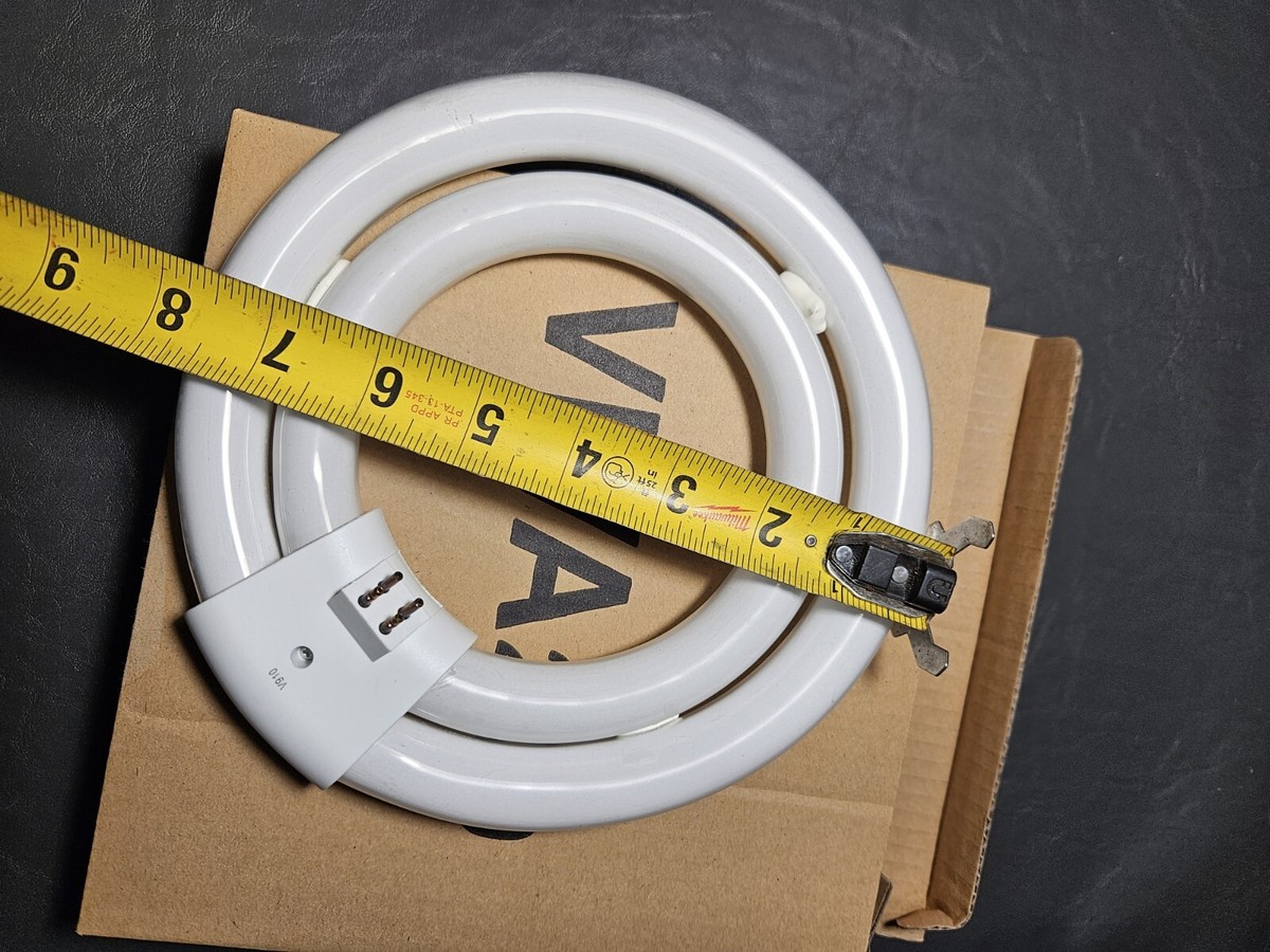 Viva Light Bulbs Cri 82 | Shelly Lighting