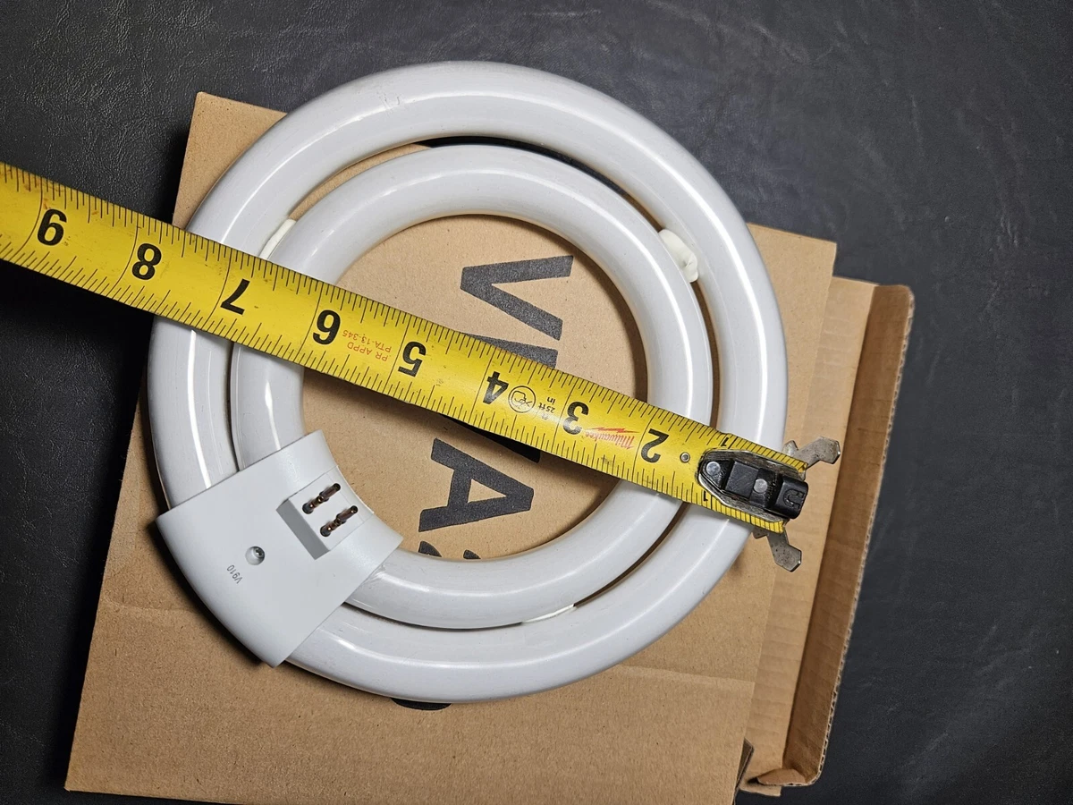 Viva Light Bulbs Tc55w | Shelly Lighting