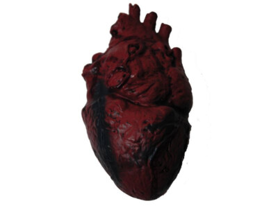 Bloody Heart Prop Halloween Haunted House Body Parts Red Gory Human ...