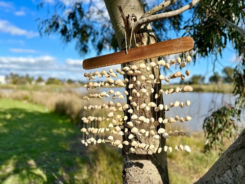 Waterfall Kenari Seeds Pods Shaker, Soothing and Healing Sound, 50cm x ...