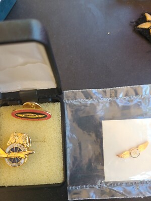 3 Union Pins Pfaa Teamsters Local 2000 Flight Attend + Airlines Pilot ...