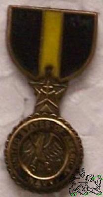 Hat Pin Military U S Navy Distinguished Service Award NEW Lapel Pin ...