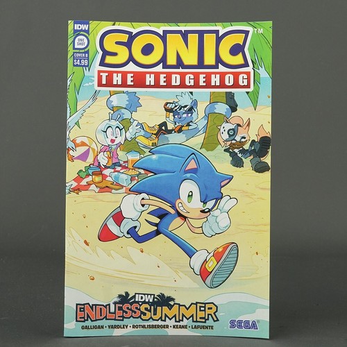 SONIC THE HEDGEHOG ENDLESS SUMMER Cvr B IDW Comics 2023 JUN231424 (CA ...