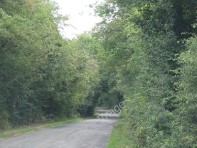 Photo 6x4 Road runs through trees to Bushley Green Slades Green c2010 ...