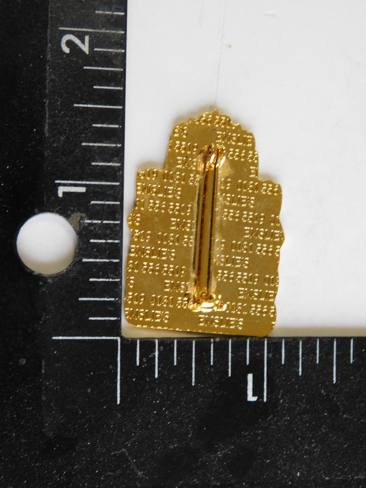 LOTHIAN & BORDERS CREST COAT OF ARMS TRAVEL PIN | eBay