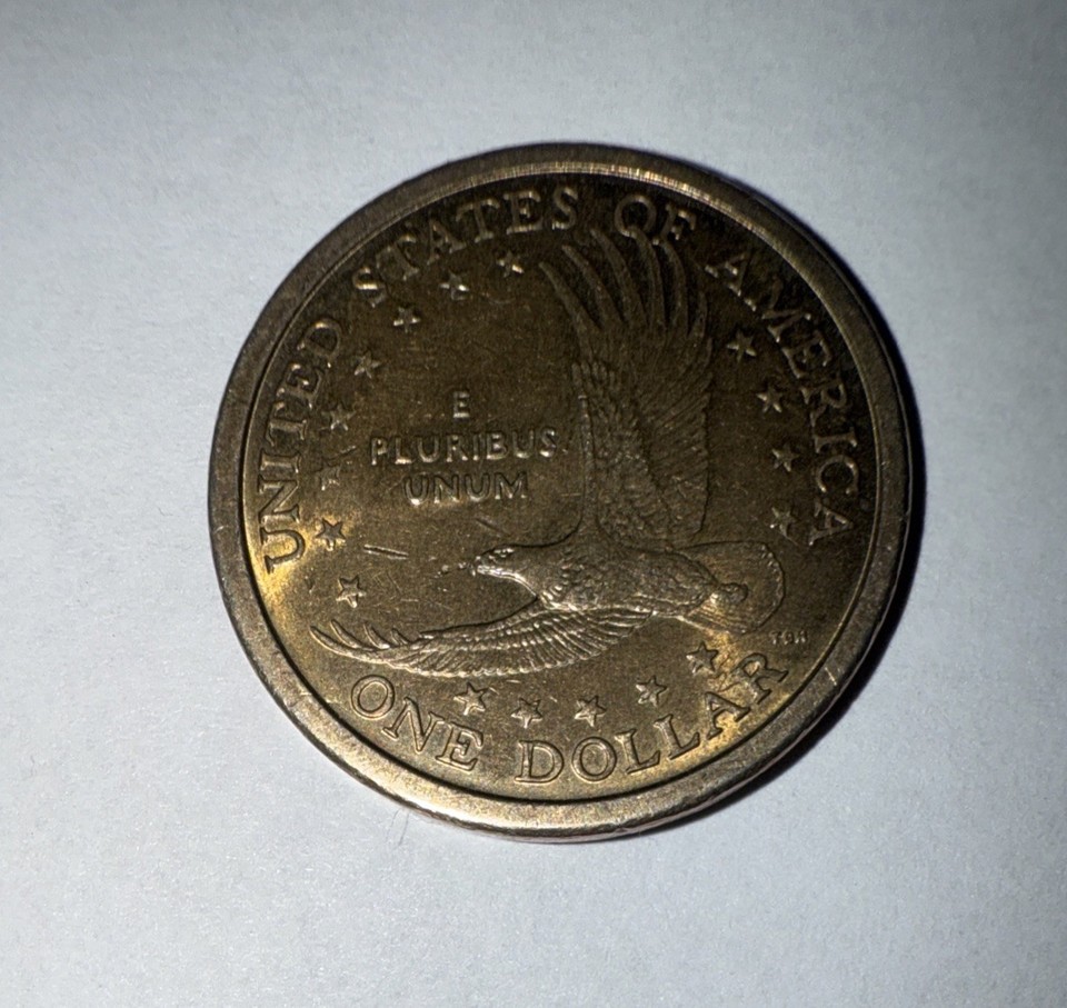 Sacagawea 2000 P One Dollar Error Coin | eBay