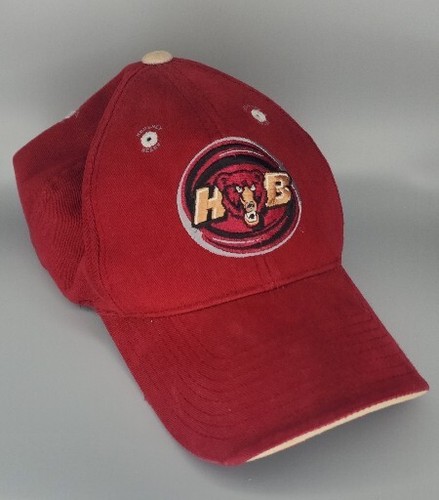 Hersey Bears AHL Hockey Baseball Hat Washington Capitals. | eBay