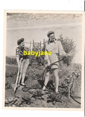 ANN SAVAGE LESLIE BROOKS ORIG 8X10 PHOTO BY CRONENWETH 1940'S PINUP ...
