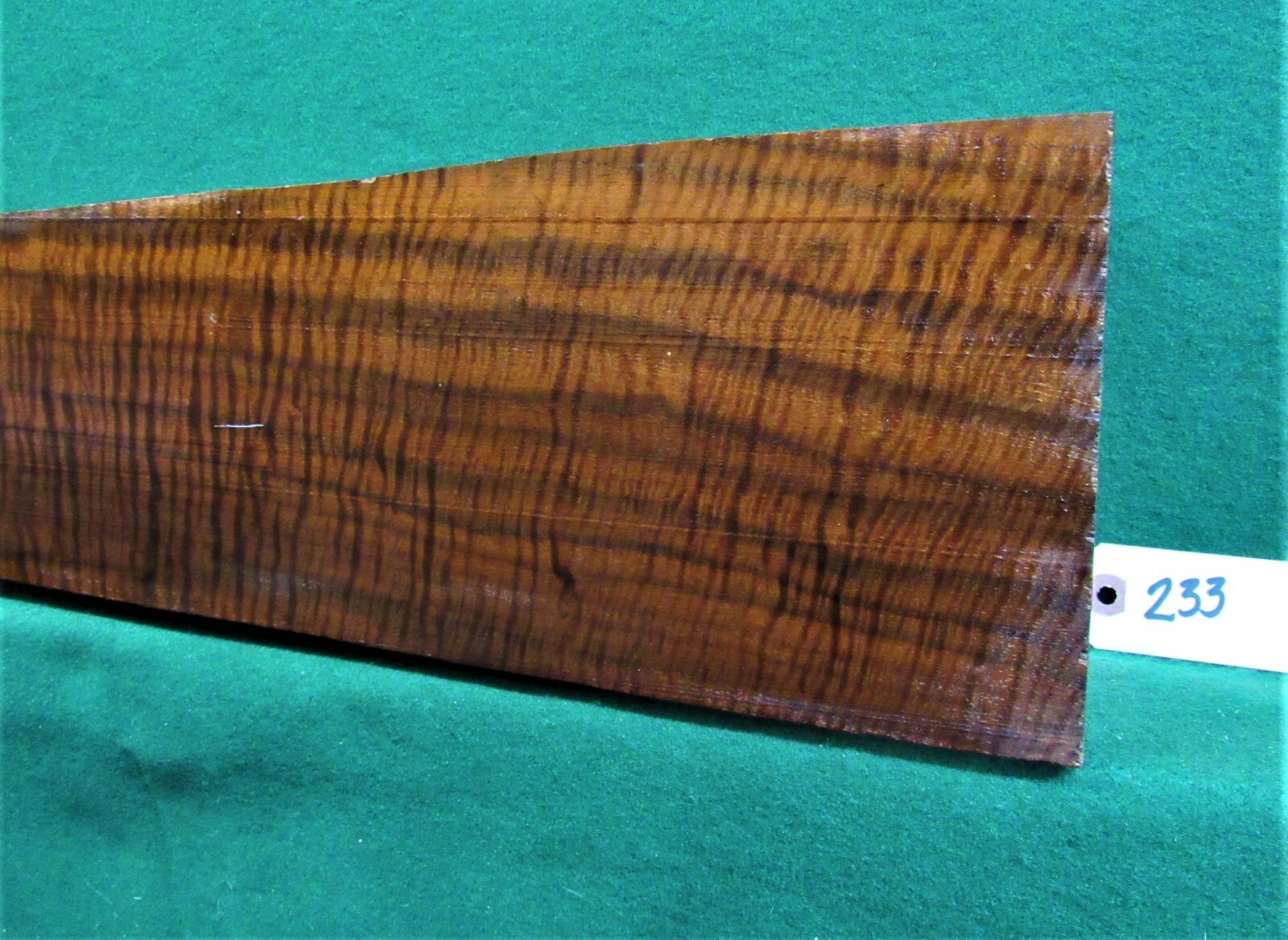 Exhibition grade Claro Fiddleback gorgeous walnut blank ! Extra THICK ...
