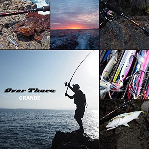 Daiwa Fishing Rod Rod 21 Overzea Grande 100m | eBay