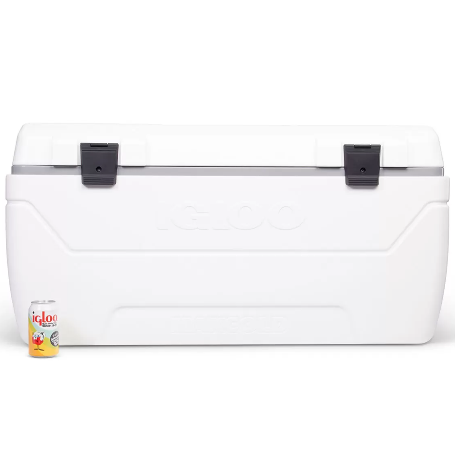 Igloo MaxCold 165 QT 156 Litre Extra Large Size Food Drink Ice Cooler ...