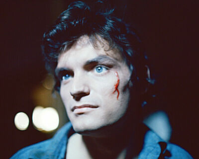 Dark Shadows David Selby as Quentin Collins 8x10 Glossy Photo | eBay