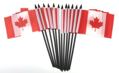 12 Pack 4x6 In Canada Small Miniature Stick Desk & Little Canadian ...
