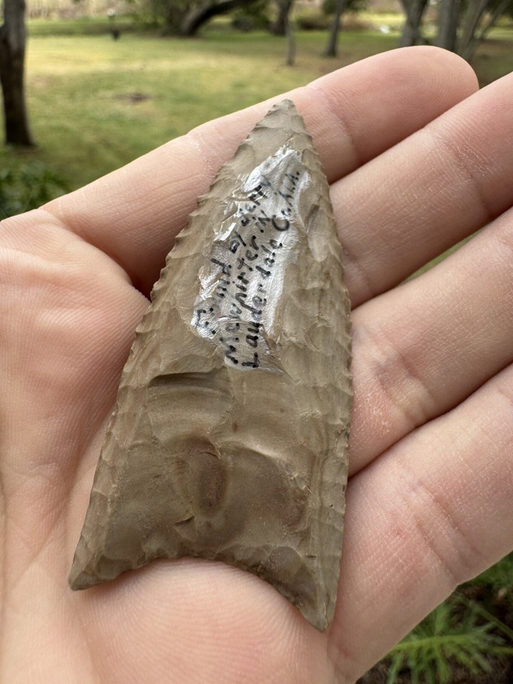 Native American Paleo Fluted Clovis Point Arrowhead Artifact | eBay