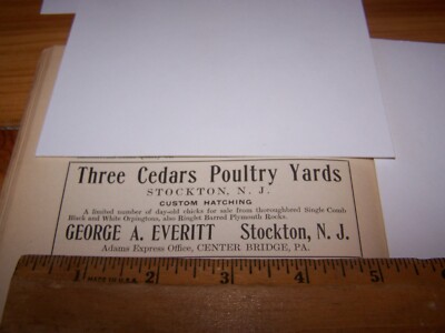 1914 GEORGE A EVERITT THREE CEDARS POULTRY YARDS Print Ad STOCKTON NEW ...
