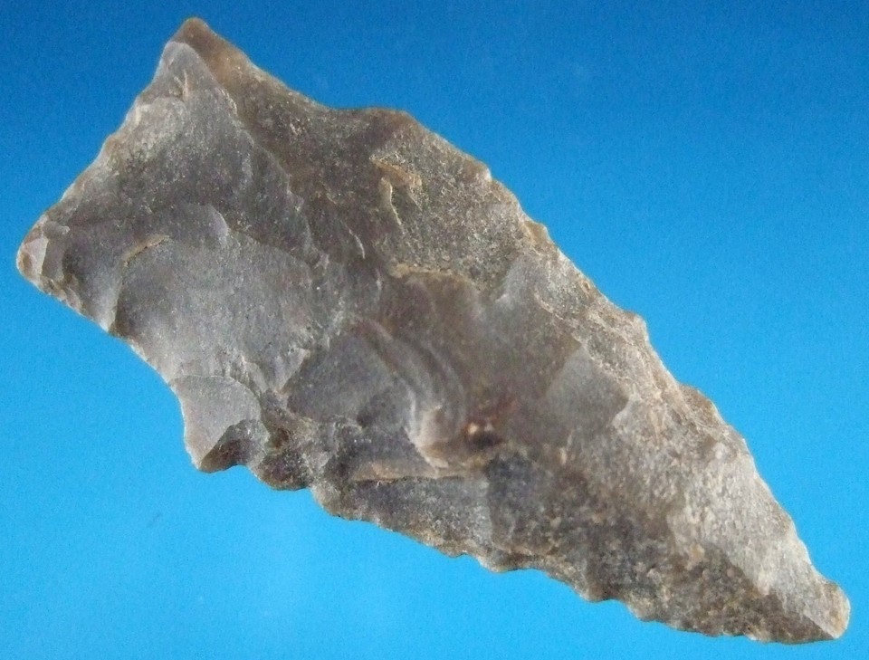 Super Fine Authentic Kentucky Shawnee Springs Kirk Stemmed Point ...