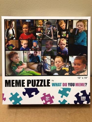 WHAT DO YOU MEME? Gavin from Vine 500 Piece Jigsaw Puzzle - NEW | eBay