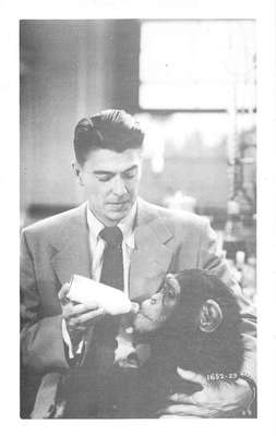 President Reagan Feeding Monkey Chimp Antique Postcard J44942 | eBay