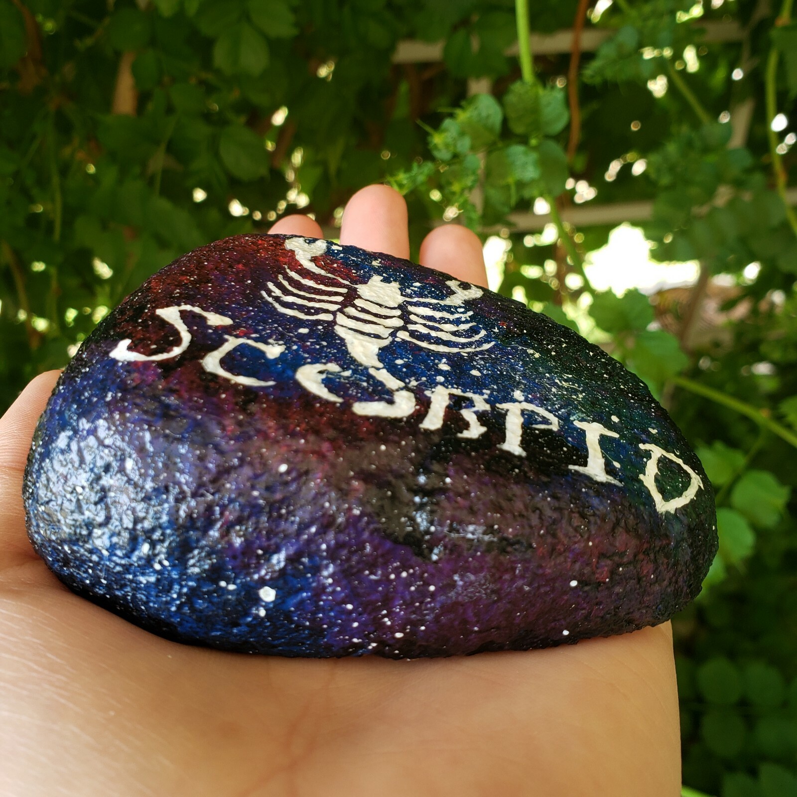Hand Painted Rock Scorpio Zodiac Sign Galaxy Stone | eBay