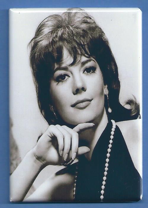NATALIE WOOD *2X3 FRIDGE MAGNET* AMERICAN FILM ACTRESS STAR REBEL ...