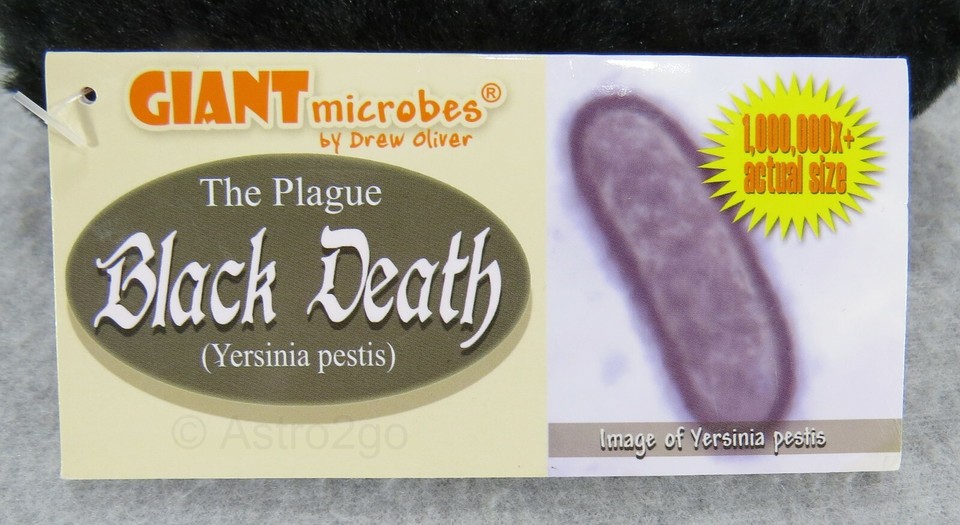 GIANT MICROBES-BLACK DEATH-Stuffed Plush Bubonic Plague Pestilence ...