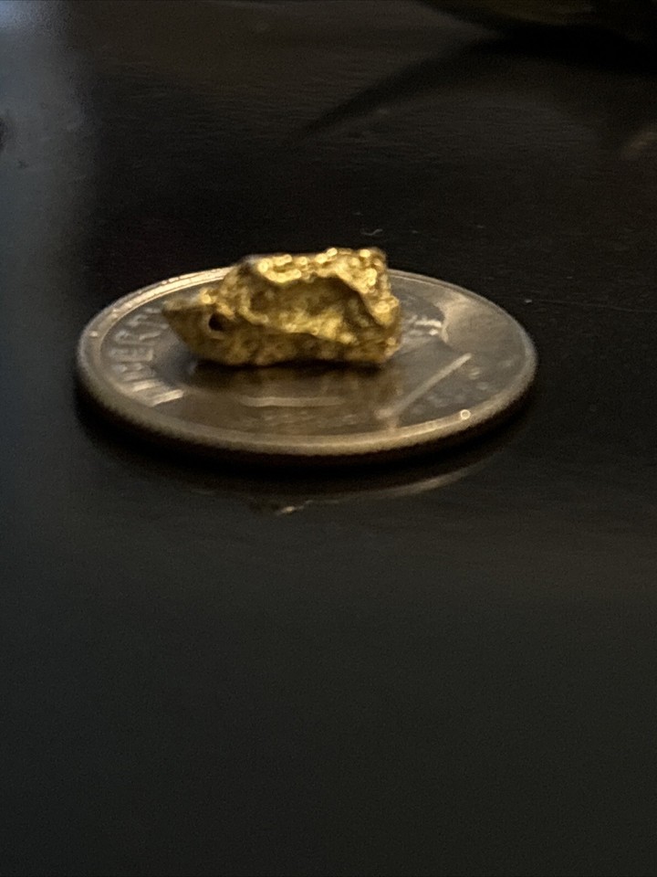 Monster HUGE GOLD NUGGET Paydirt 5+ GRAMS GUARANTEED with giant NUGGETS ...