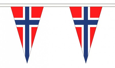 NORWAY FLAG BUNTING TRIANGULAR 20 metres 54 flags NORWEGIAN | eBay.de